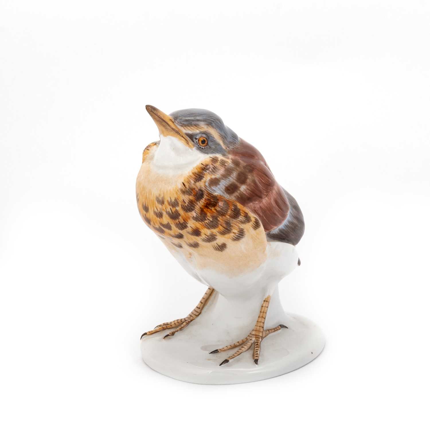 Lot 40 - A MEISSEN MODEL OF A YOUNG BLACKBIRD,