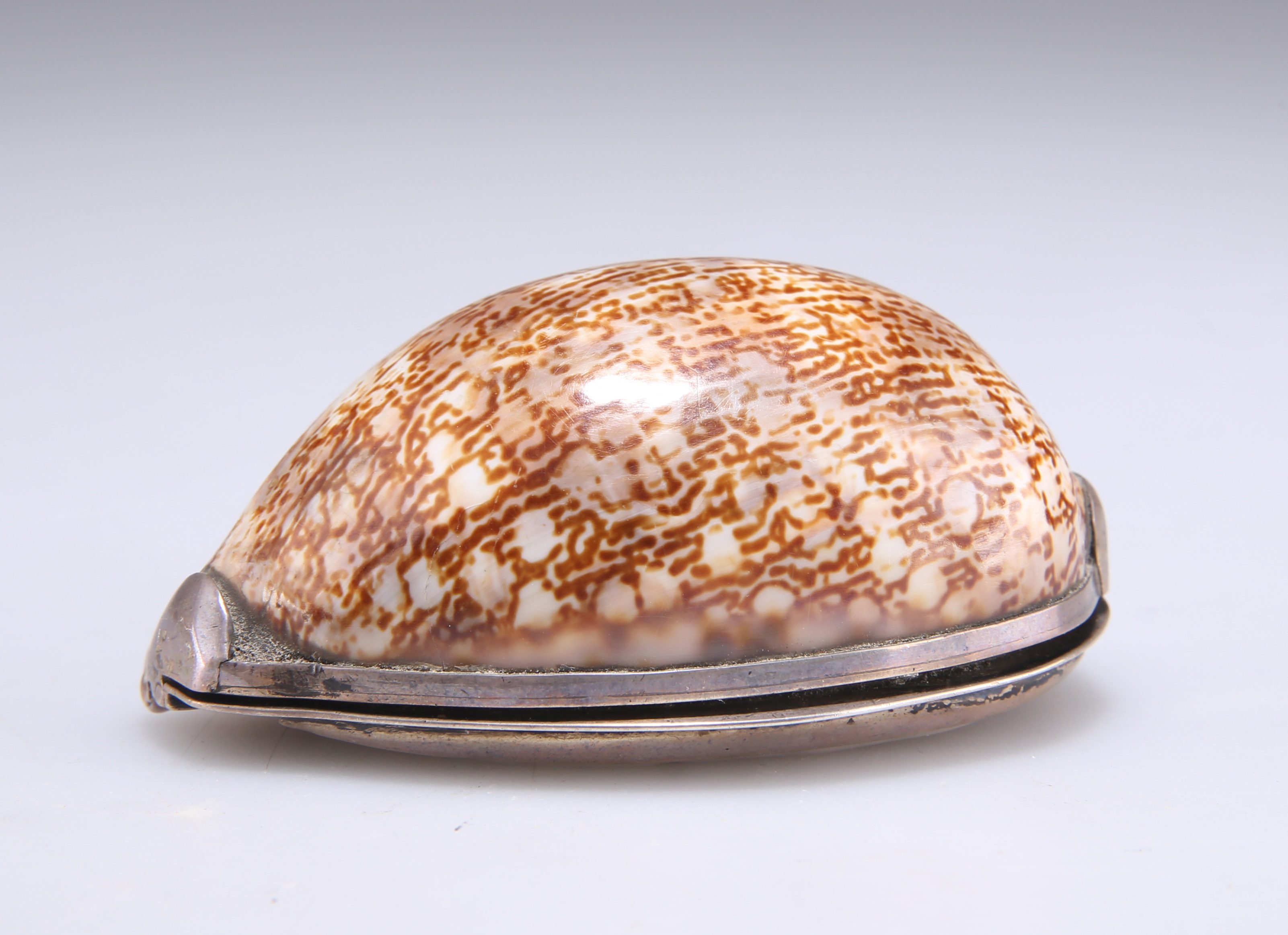 Lot 1416 - AN 18TH CENTURY SILVER-MOUNTED COWRIE SHELL