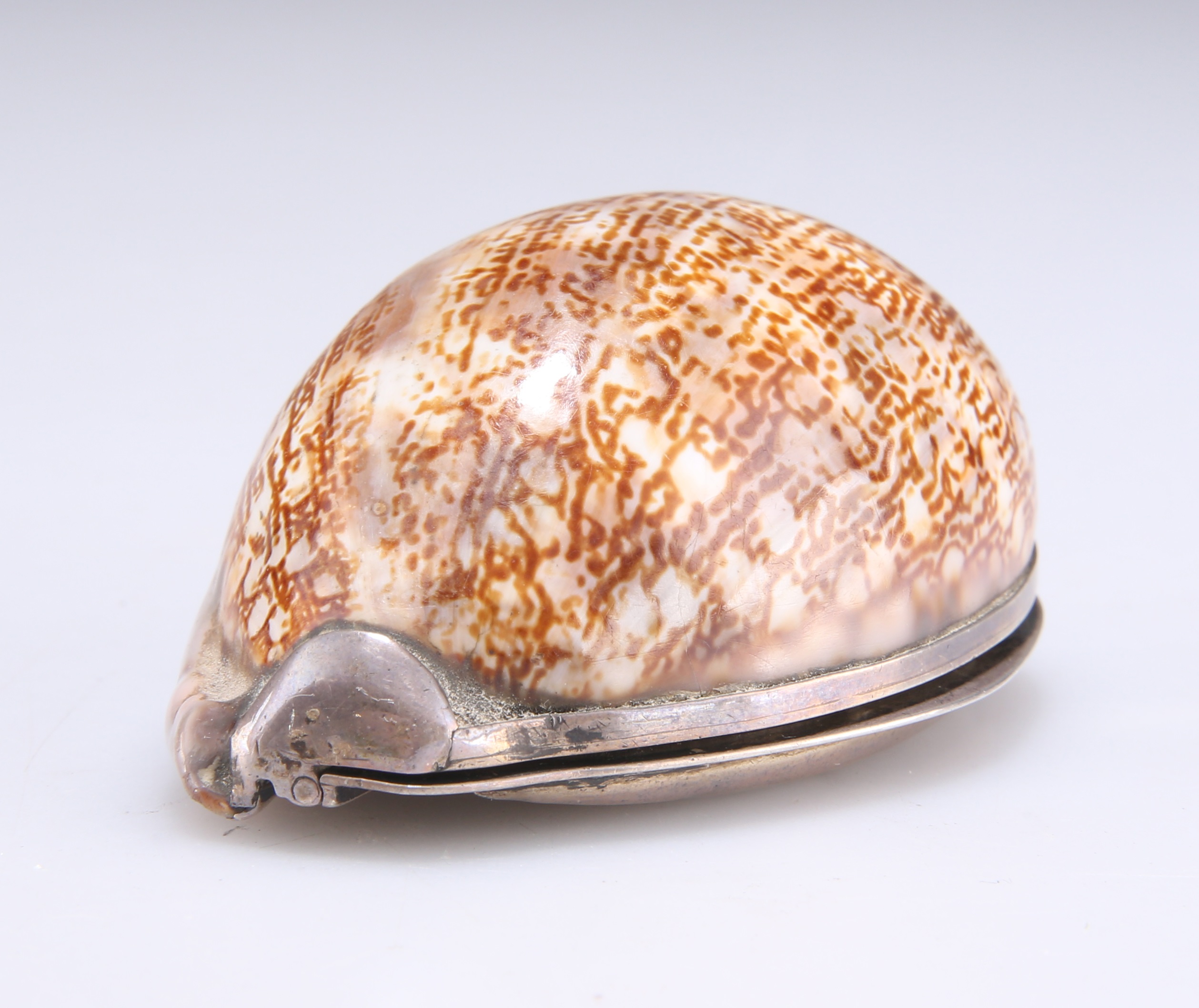 Lot 1416 - AN 18TH CENTURY SILVER-MOUNTED COWRIE SHELL